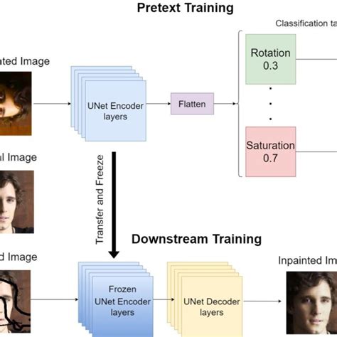 the proposed architecture of the weighted self supervised learning