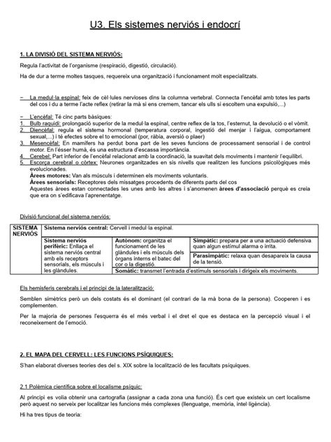 U3 Els Sistemes Nerviós I Endocrí Pdf