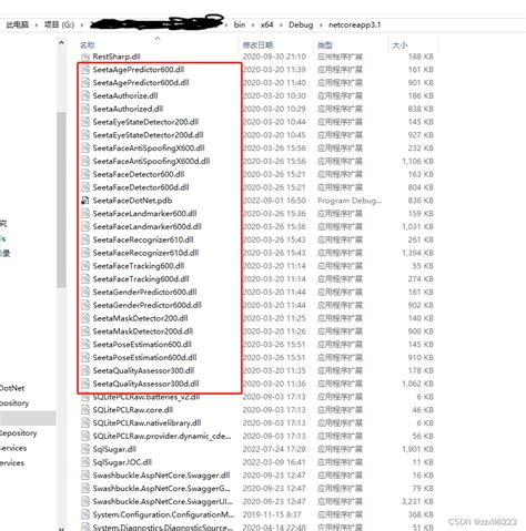 关于core项目调用c 的dll（动态链接库）问题 netcore调用c 库 csdn博客