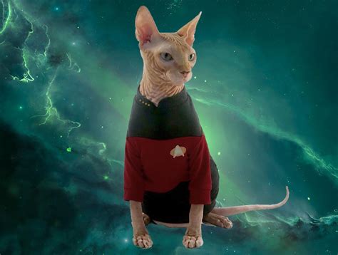 Tng Cat Costume Star Trek Uniform For Sphynx Cats Etsy