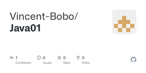 GitHub Vincent Bobo Java