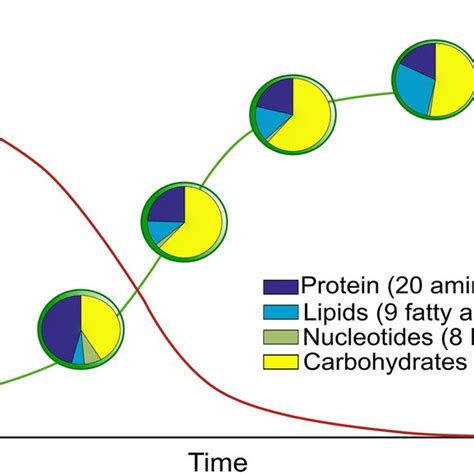 Central Metabolism In Eukaryotic Microalgae The Main Compartments Of