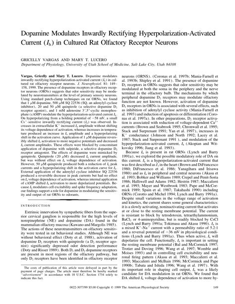 Pdf Dopamine Modulates Inwardly Rectifying Hyperpolarization Activated Current I H In