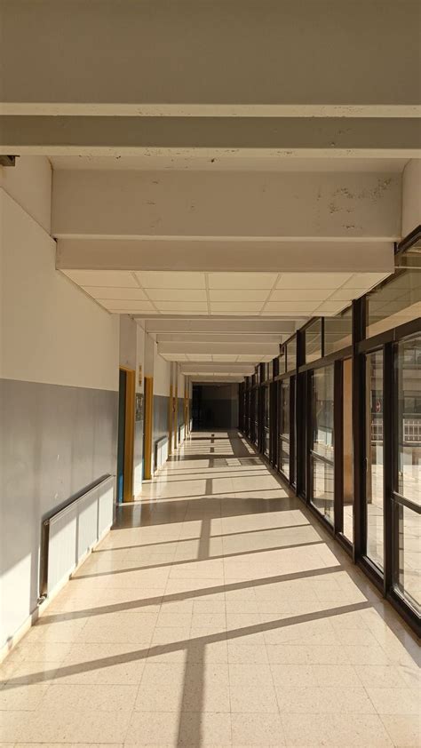 جامعة العلوم والتكنولوجيا الأردنية Jordan University Of Science And Technology Nel 2025