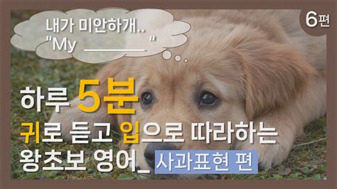 왕왕초보 영어회화 06 5~60대 기초영어 사과 표현 한국말 발음 표시 5분 영어 Youtube