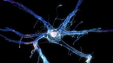 Cellule Nerveuse Illustration Stock Illustration Du Axone 7726034