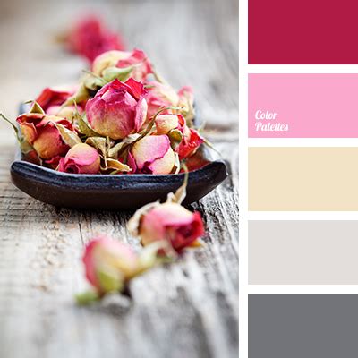 Colours Of Rose Color Palette Ideas
