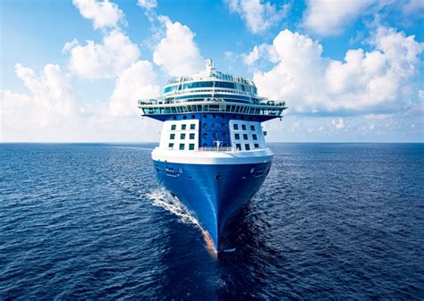 Training The Celebrity Commitment