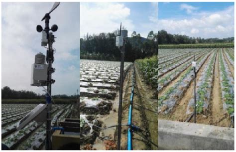 Insects Special Issue Insect Monitoring And Trapping In Agricultural Systems