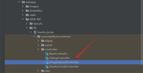 Java代码审计andmybatis注入and文件上传and下载and读取若依 Java审计 Csdn博客