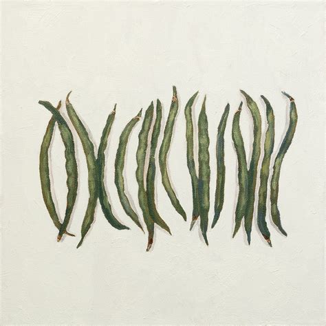 String Beans Drawing At Explore Collection Of String Beans Drawing