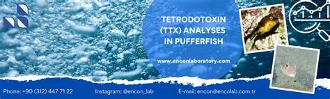 Tetrodotoxin Ttx Analyses In Pufferfish