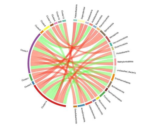 【多组学专题】一文带你学会微生物组 代谢组数据挖掘 分析 进行 层面