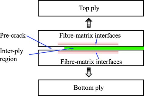 Schematic Illustration Of The Inter Ply Region And Adjacent Download Scientific Diagram