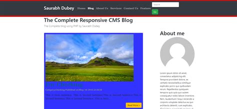 there is a storage xss vulnerability in the blog comment interface