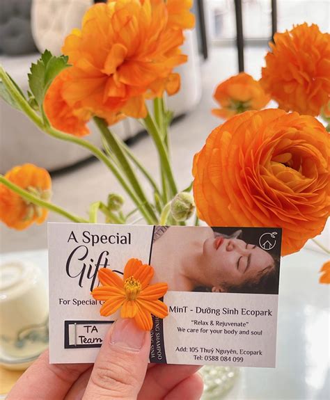 Tầm Nhìn Sứ Mệnh Và Giá Trị Cốt Lõi Mint Foundation