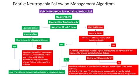 Algorithm Febrile Neutropenia In Patients With Cancer Pptx Infectious Diseases Diseases And