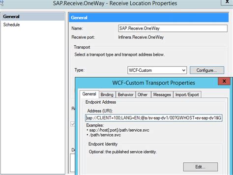 Wcf Sap Adapter Vs Wcf Custom Adapter With Sap Bindings Hooking Stuff
