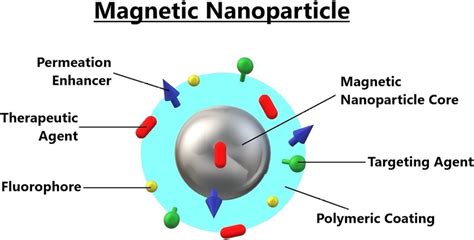 The Detailed Structure Of Magnetic Nanoparticles The Cpes Chemical