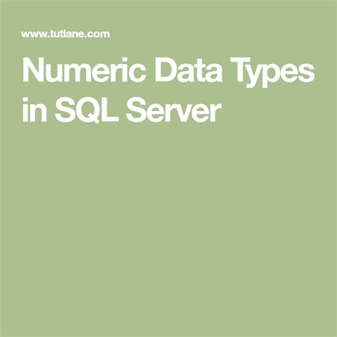 Numeric Data Types In SQL Server Sql Server Sql Server