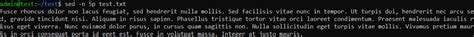 5 Terminal Linux Commands For Beginners By Ivan Katkov Sep 2022