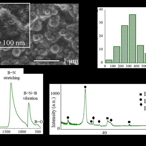 Sem Micrographs At Low And High Inset Magnifications A Size