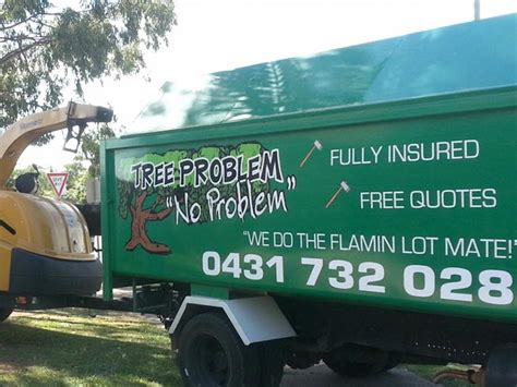 Tree Services In Redlands Tree Problem No Problem