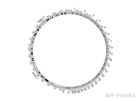 R 数据可视化 —— Circlize 基因组初始化 知乎