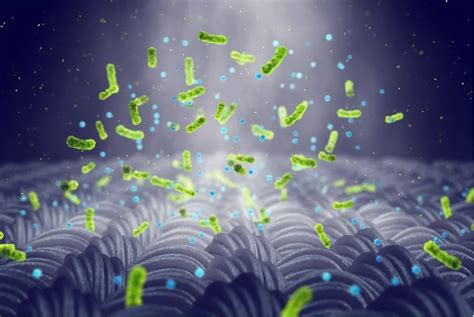 Antibacterial Fabric Antibacterial Textiles Latest Price
