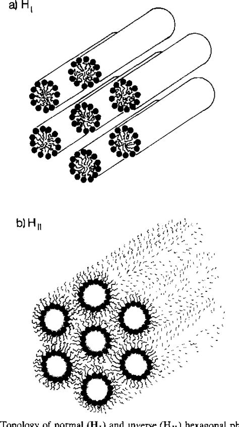 Figure 14 From Structure Of The Inverted Hexagonal Hii Phase And Non Lamellar Phase