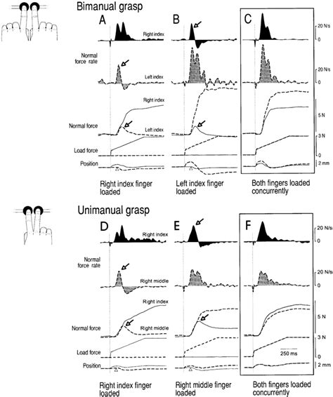 A F Averaged Records From One Representative Subject Under The Bimanual