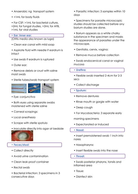 Solution Microbiology Lecture Studypool