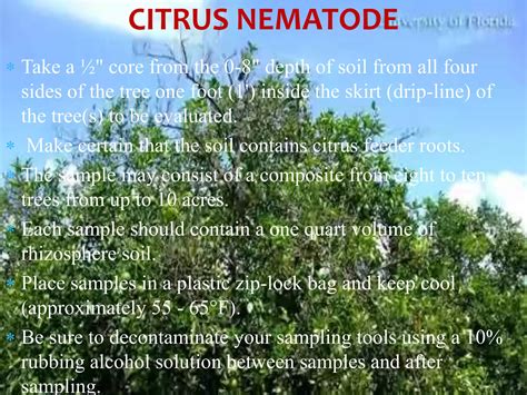 Sampling Techniques For Nematode Assay Pptx Gardening Home And Garden