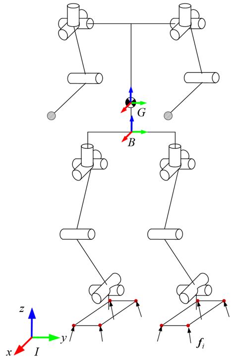Terrain Aware Hierarchical Control Framework For Dynamic Locomotion Of Humanoid Robots