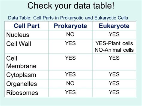 Prokaryotic Cells Vs Eukaryotic Cells Chart A Visual Reference Of Charts Chart Master
