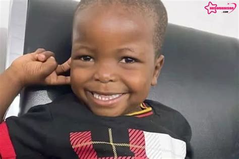 L I Con L Ai C U B G Y Ra S C H T L N Khi N Vi T Nam