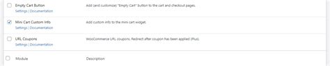 WooCommerce Mini Cart Customization How To Do That In Ways