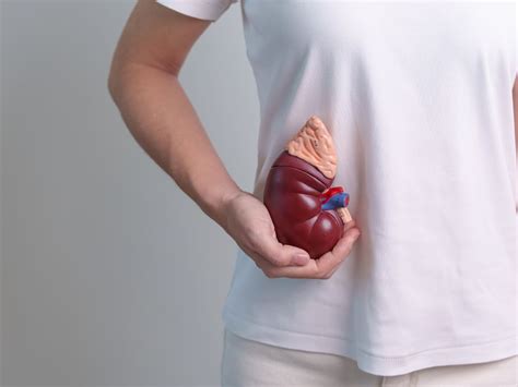 Adrenal Tumor Biopsy A Comprehensive Guide To Diagnosis