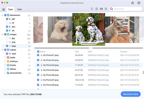 Freeundelete For Mac Undelete Files On Mac With Free Undelete Software