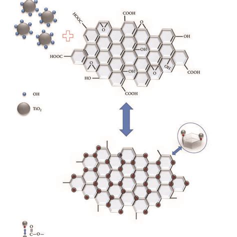 Illustration Of The Fabrication Schematics Of Graphene Oxide Tio2 Got