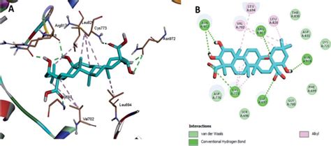 Docking And Binding Pattern Of Compound 2 In The Active Site Of The
