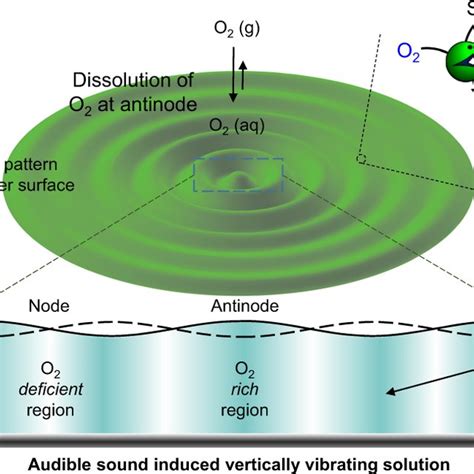 Audible Sound Induced Generation Of Transient Domains And Download
