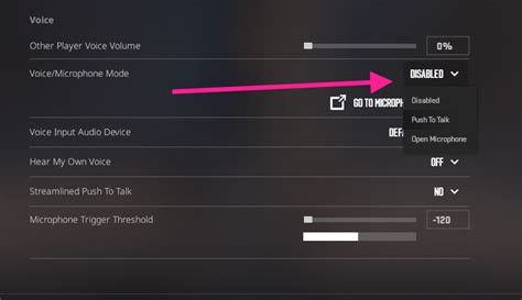 Why Is My Microphone Not Working In CS2 And How To Fix It