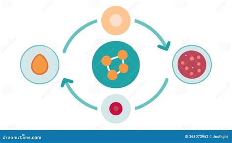 Encapsulation And De Encapsulation Process In Osi Reference Model