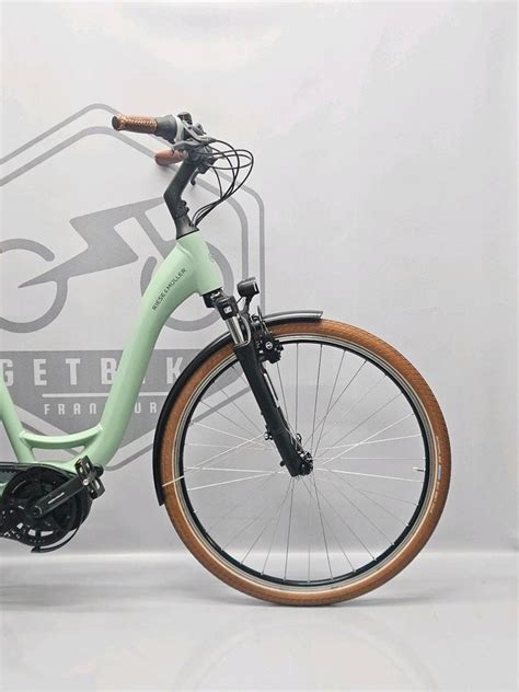 Riese And Müller Swing Slient Ebike Mit Riemenantrieb Bosch In Hessen Sulzbach Gebrauchte