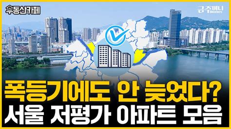 미친 집값 난 이제 어떻게 이재명 시대에 돈 버는 투자 전략ㅣ부동산카페 금주머니tv Youtube