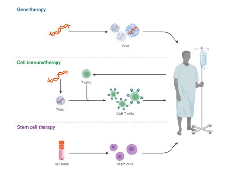 Cell And Gene Therapy BioRender Science Templates