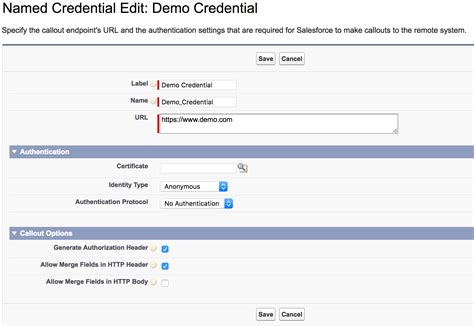 Set OAuthToken Without Apex Metadata Wrapper Salesforce Stack Exchange