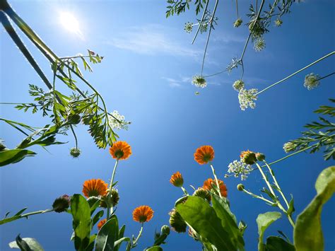 Xhtml Jquery Javascript Ux Design Development Behance