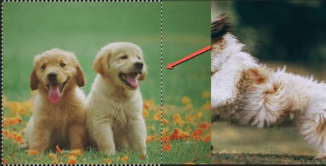 Quick Ways To Crop A Layer In Photoshop